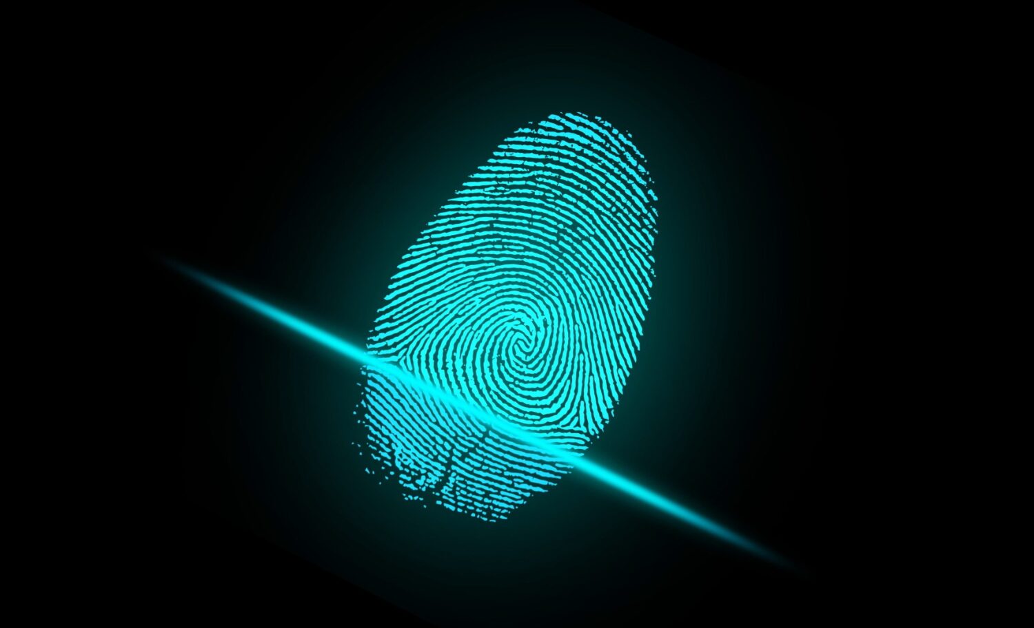 Biometrics in 2026: which trends will transform security? - Biotime ...
